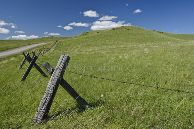 Idyllic pasture scene stock photo. Image of green, scene - 23402240