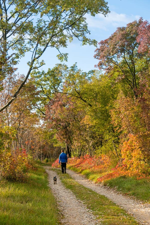 Idyllic path in autumn stock image. Image of colorful - 102930045