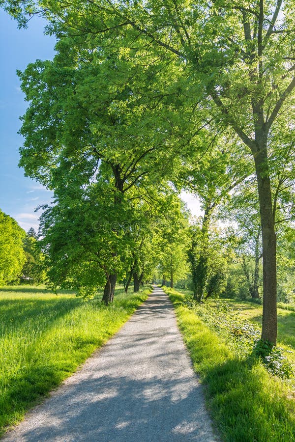 Idyllic Path in a Green Park in Spring Stock Photo - Image of landscape ...