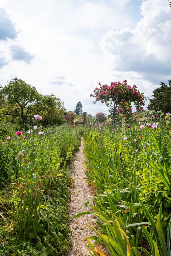 A Pathway in a Lush Green Field with Flowers in it Stock Photo - Image ...