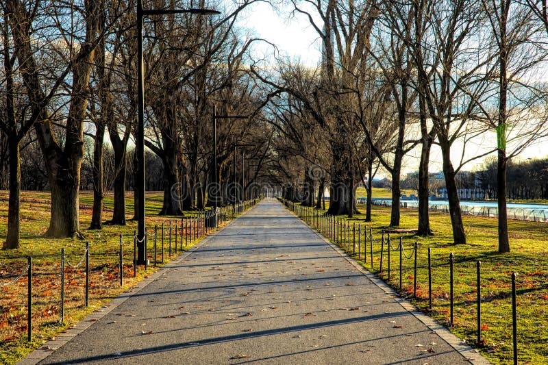 Idyllic Pathway through a Lush Park, Lined with Trees and Vibrant Green ...