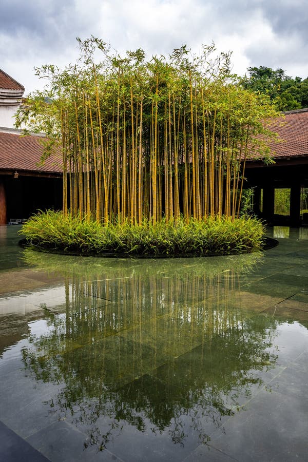 Idyllic Pond with Bamboo Trees Reflecting on the Surface of the Water ...