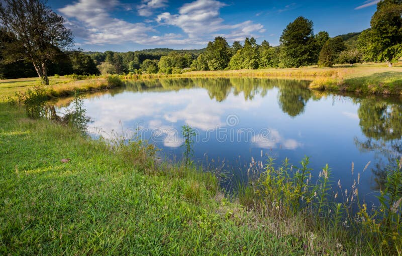 Idyllic Pond on Summer`s Day Stock Photo - Image of beautiful, blue ...