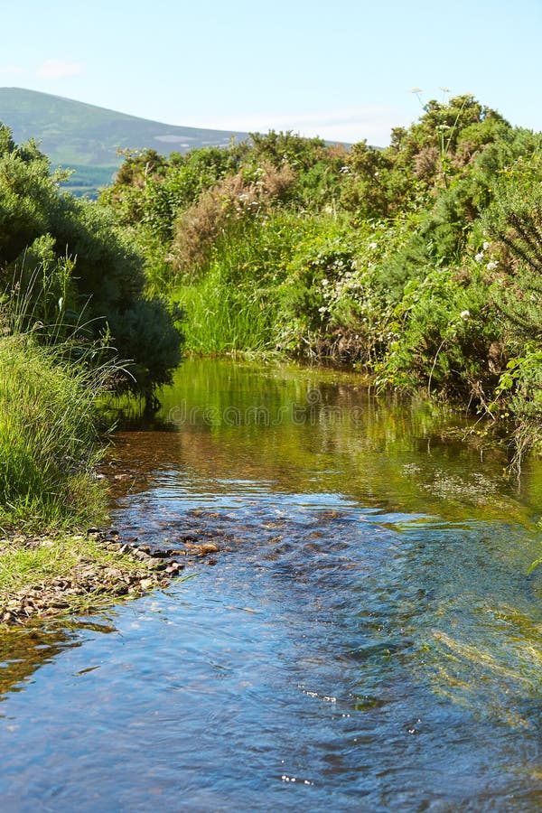 Idyllic River Landscape with Greenery. Mysteries Forest. Green ...