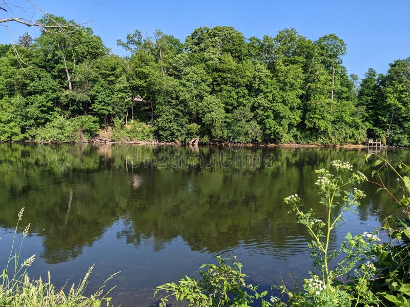 Idyllic River Running through a Field of Trees, with a Bright Blue Sky ...