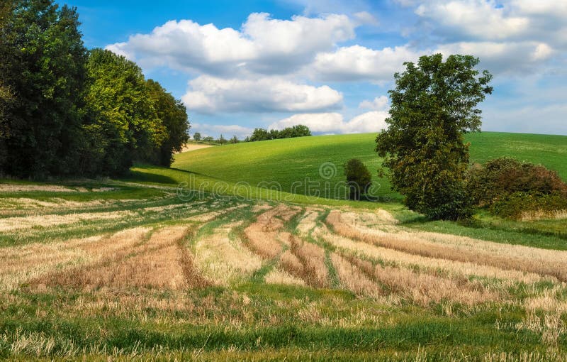 Idyllic rural landscape stock image. Image of hayfield - 29145237