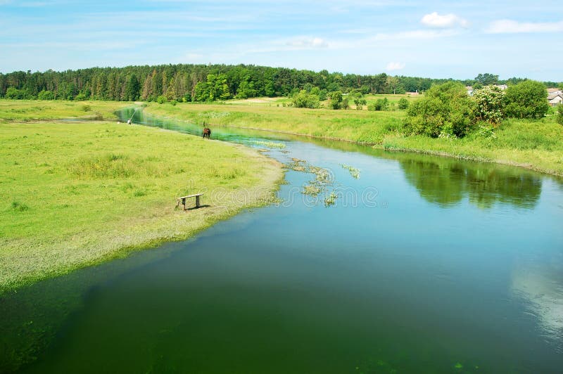 Idyllic Rural Landscape with River and Horse Stock Image - Image of ...