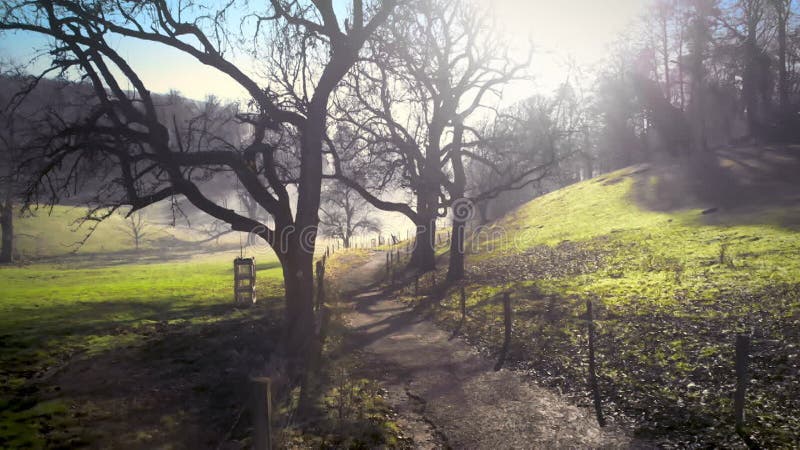 Idyllic Rural Path with Meadows and Bare Trees Stock Footage - Video of ...