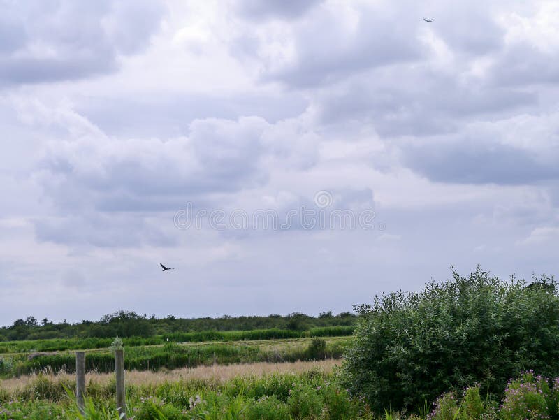 Idyllic scene by river stock photo. Image of placid, appealing - 83251948