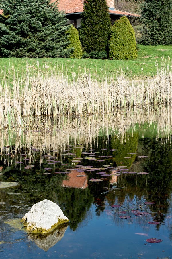 Idyllic Scene - Shiny Stone in the Lake Stock Photo - Image of ...