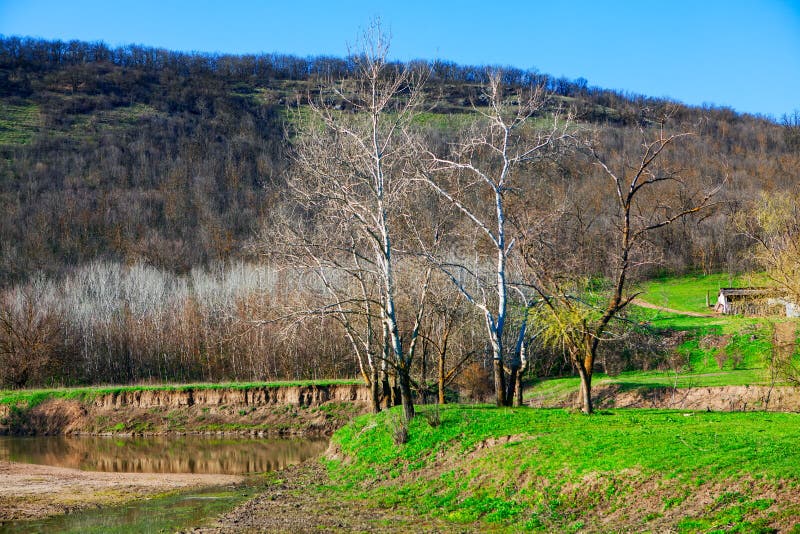 Idyllic scenery with farm stock image. Image of agriculture - 217940249