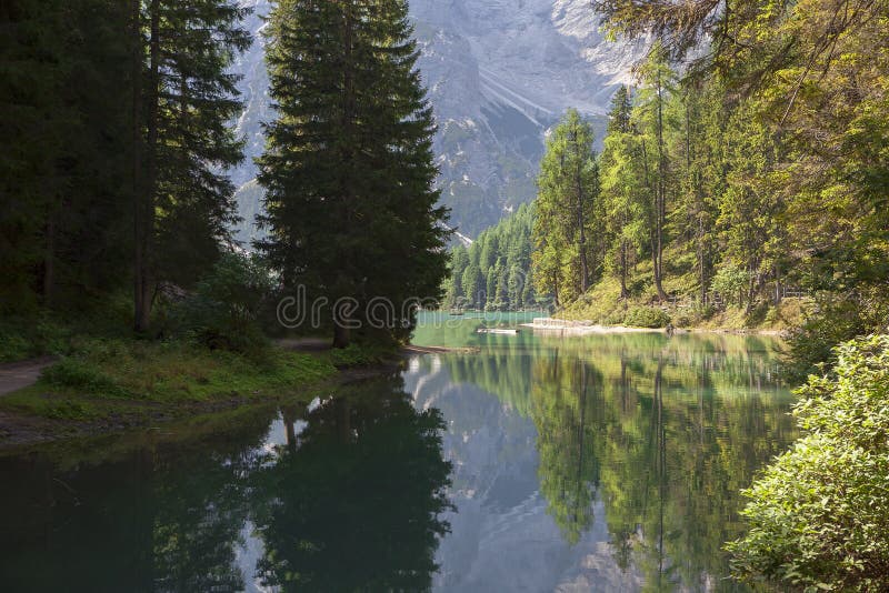 Idyllic Scenery with Lake and Forest Stock Photo - Image of wilderness ...