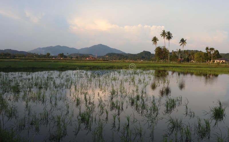 The Idyllic Scenery of Nature Combined with Beautiful Reflections ...