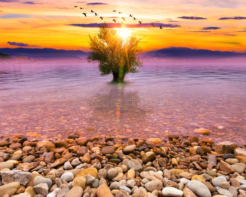 Idyllic and scenery nature stock image. Image of dreamy - 156588373