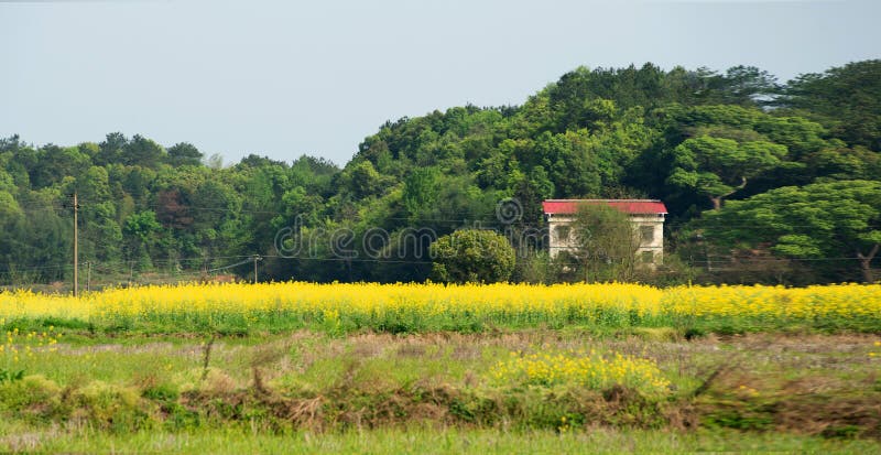 Idyllic Scenery of Riverside Plain in Spring Stock Photo - Image of ...