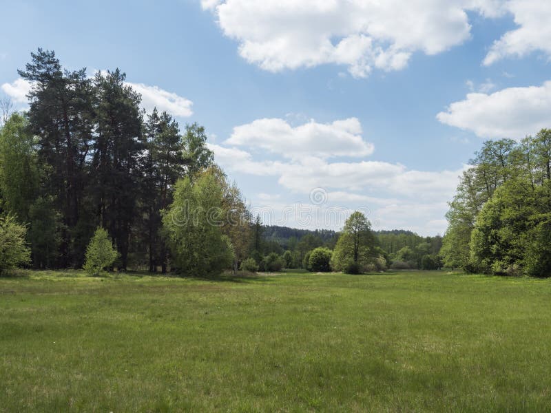 Idyllic Spring Landscape with Lush Green Grass, Fresh Deciduous, Spruce ...