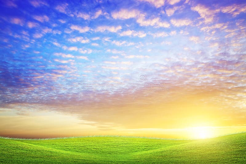 Idyllic summer landscape stock image. Image of land, nature - 23082489