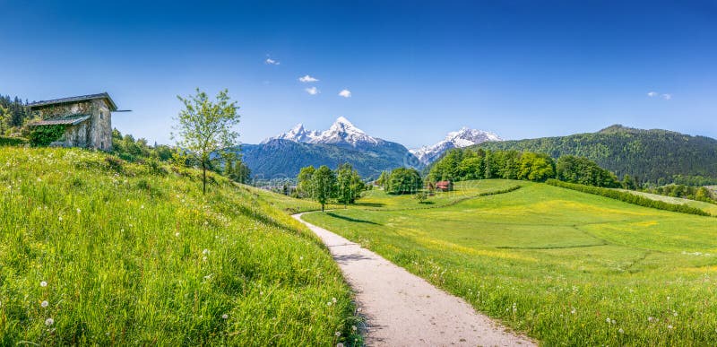 Idyllic Summer Landscape with Clear Mountain Lake in the Alps Stock ...