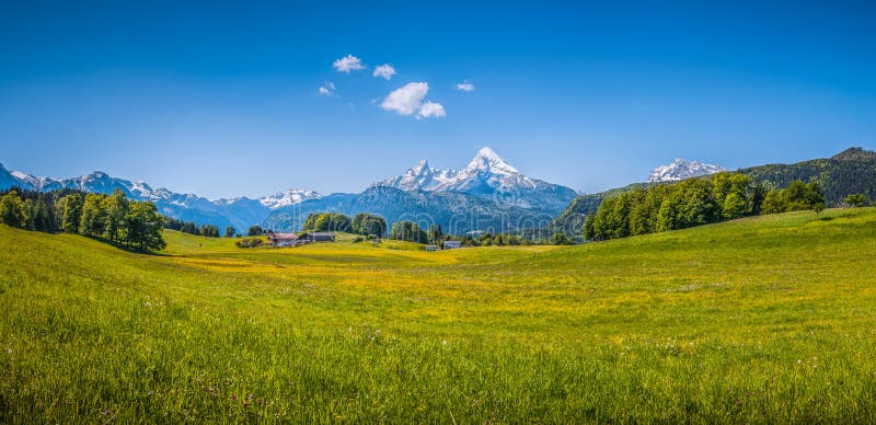 Idyllic Summer Landscape with Clear Mountain Lake in the Alps Stock ...