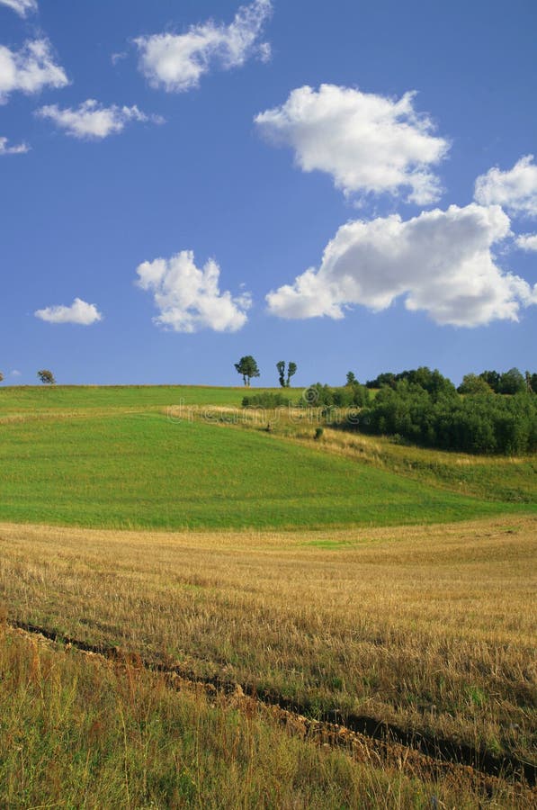 Idyllic Summer Landscape with Clear Mountain Lake in the Alps Stock ...