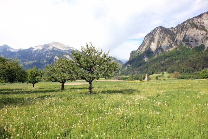Idyllic Summer Scenery stock image. Image of forest, mountains - 13536707
