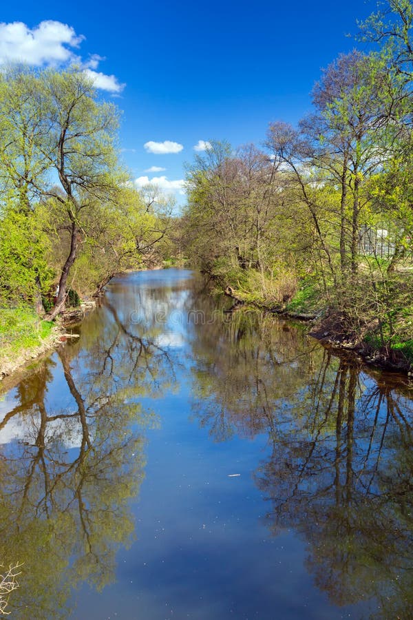 Idyllic Summer Scenery of at the River Stock Photo - Image of beauty ...