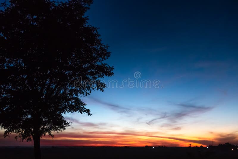 Idyllic Sunset in the Field . Sunset Sky Dark Tree. Stock Image - Image ...