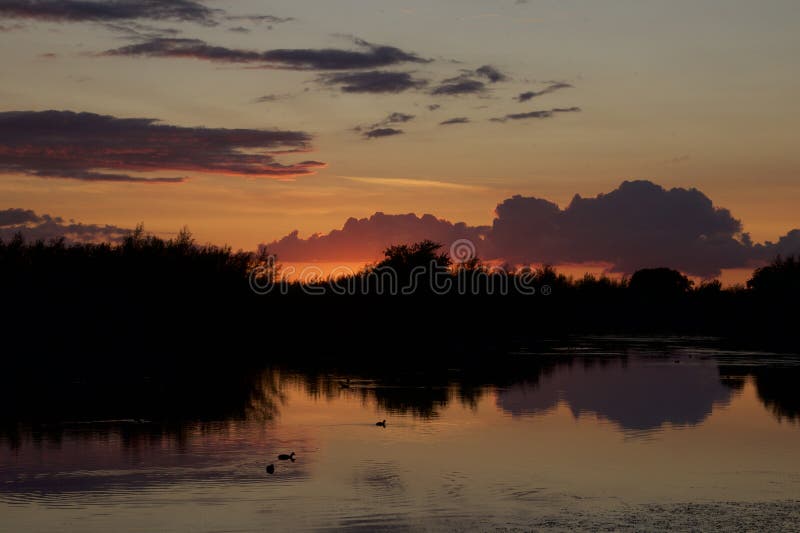 Idyllic Sunset at the Forest Lake in August Stock Image - Image of ...
