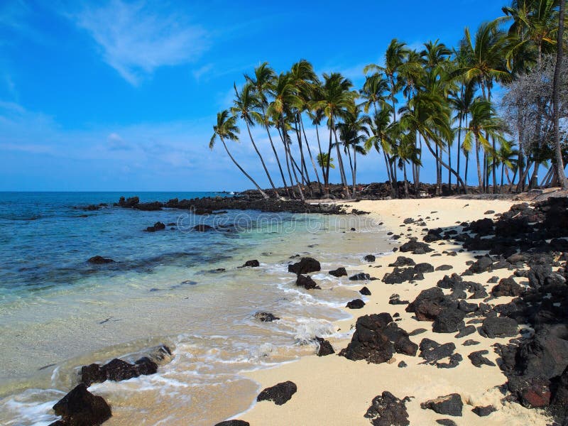 Idyllic tropical beach stock image. Image of blue, calm - 29505961