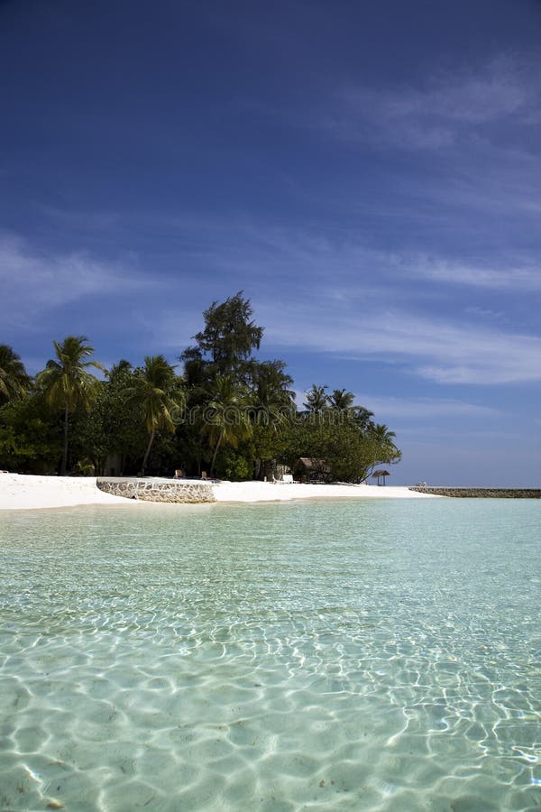Idyllic Vacation Island in the Maldives Stock Photo - Image of sand ...