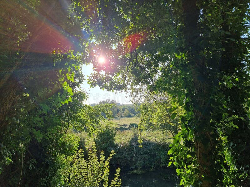 Idyllic View from the Frame of Trees To the Green Field Stock Image ...