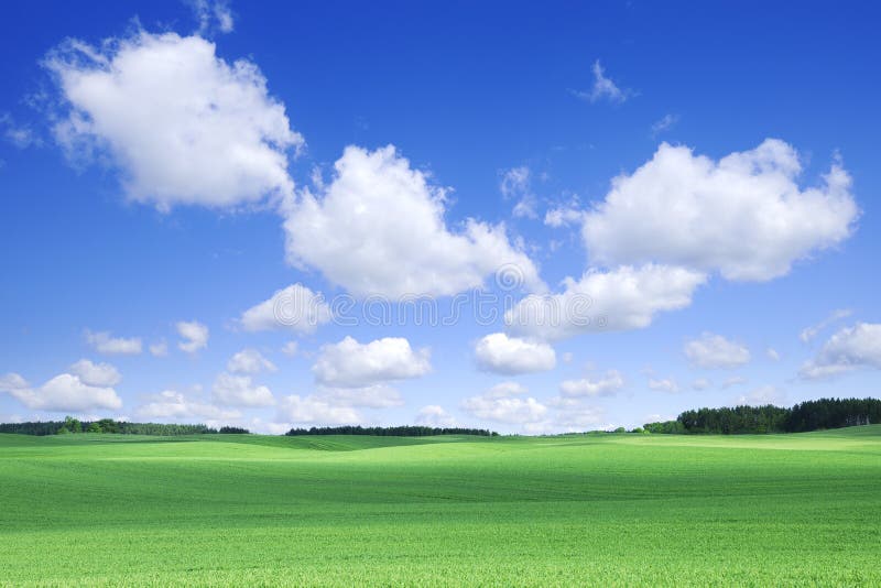 Idyllic View, Green Field and the Blue Sky with White Clouds Stock ...