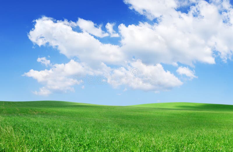 Idyllic View, Green Field and the Blue Sky with White Clouds Stock ...