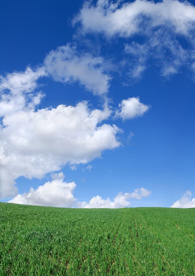 Idyllic View, Green Field and Blue Sky with White Clouds Stock Image ...