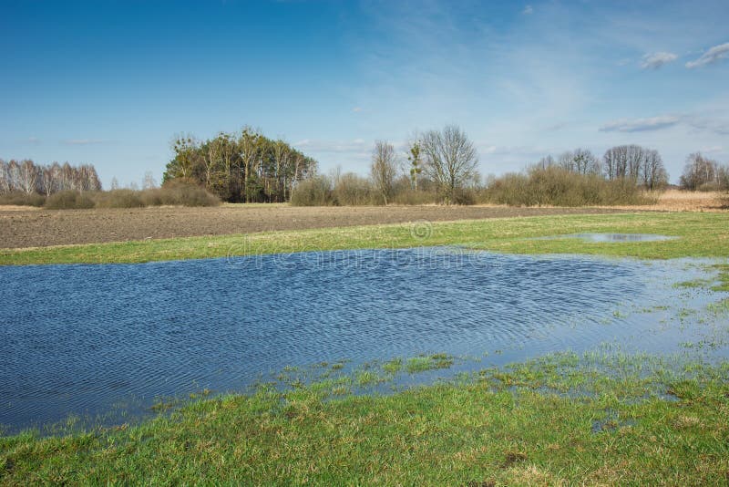 Idyllic View of the Spring Meadow, Water after Rain, Trees and Sunny ...
