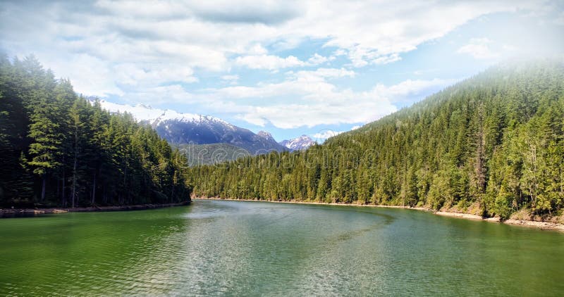 Idyllic View of River Amidst Forest Stock Photo - Image of beauty ...