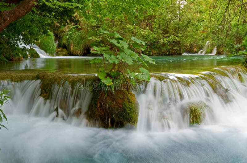 Idyllic waterfall. stock image. Image of green, pond - 19980487