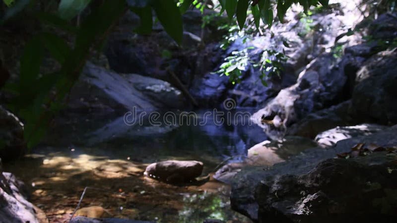 Idyllic Waterfall Amazing Nature with Sunlight Wild Pond Stock Video ...