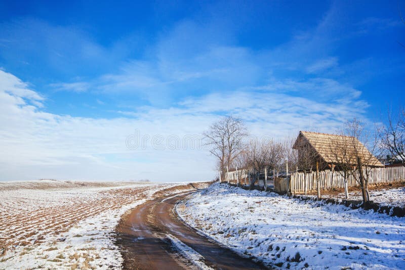 Winter field and forest stock image. Image of sunny, season - 7072381