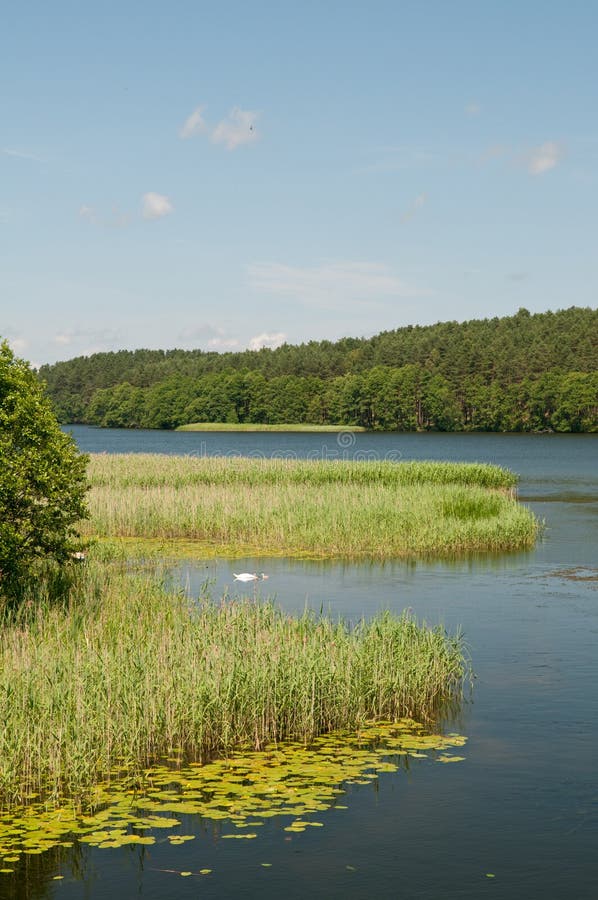 Idyllischer See stockbild. Bild von gestrüpp, vorbehalt - 26970399