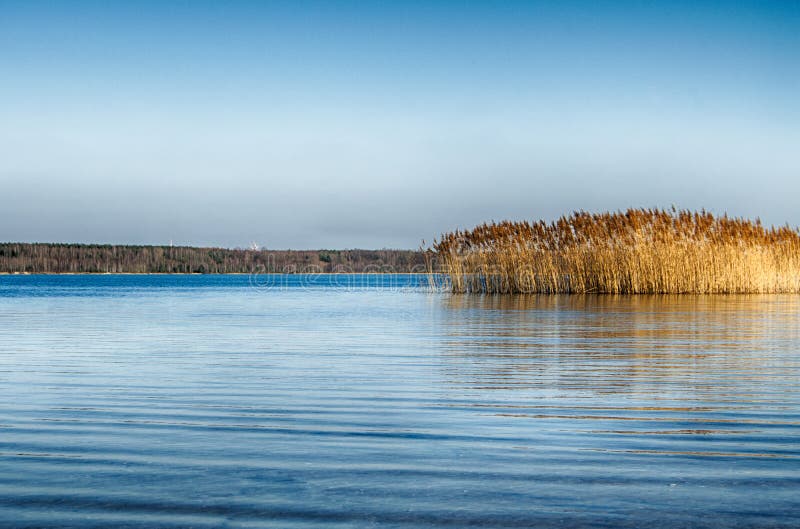 Idyllischer See Mit Schilfen Stockbild - Bild von herbst, strand: 45924001