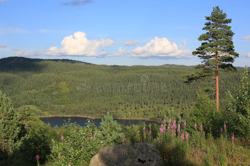 Idyllischer See in Norwegen Stockfoto - Bild von panorama, süd: 87859994