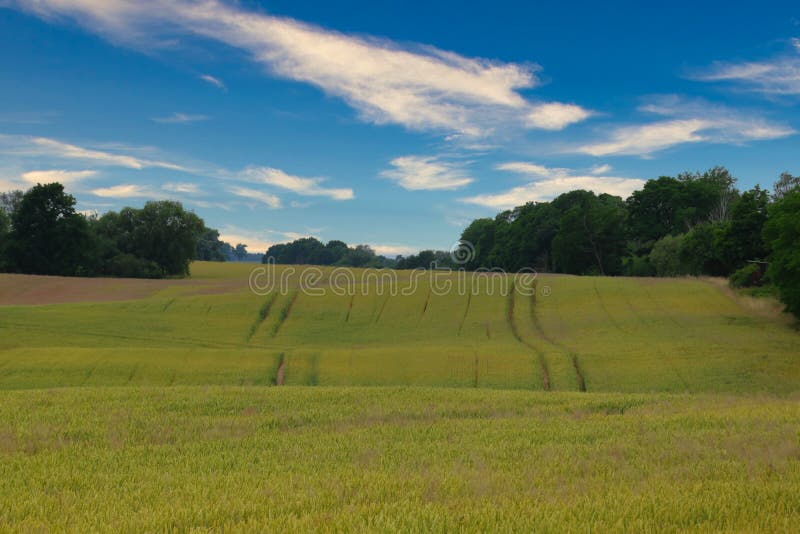 Idyllisches Feld Mit See Im Hintergrund Stockfoto - Bild von bunt, mais ...