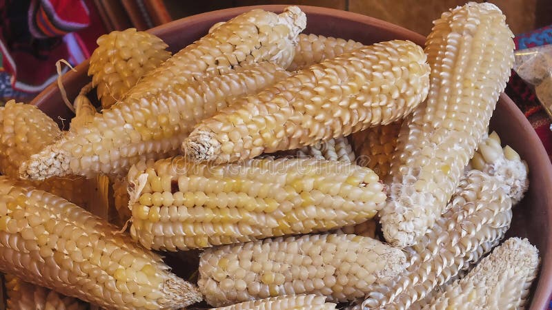 Ied Corn Cobs in a Handmade Ceramic Container Stock Image - Image of ...