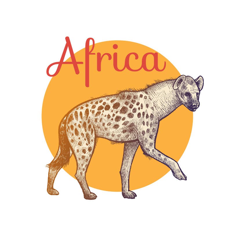 Iena Africana Degli Animali Illustrazione Vettoriale - Illustrazione di ...
