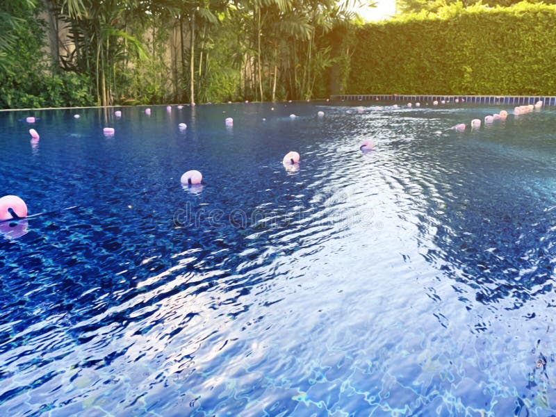 Iew in a Divided Swimming Pool for Racing Stock Photo - Image of ...