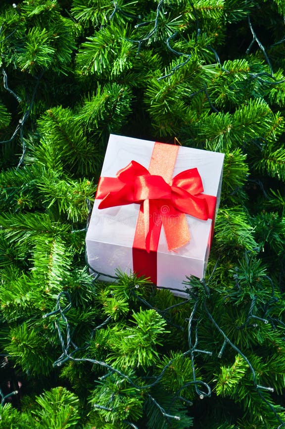Ift Box and Red Ribbon on Christmas Tree Stock Photo - Image of ...