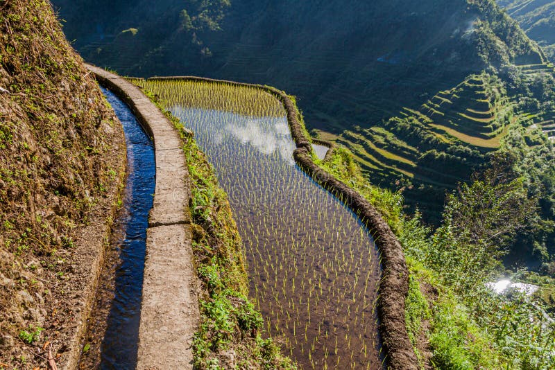 Ifugao Rice Terraces on Luzon Island, Philippin Stock Photo - Image of ...