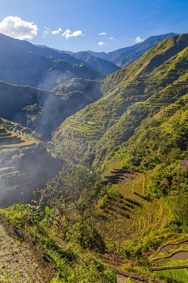 Ifugao Rice Terraces on Luzon Island, Philippin Stock Image - Image of ...