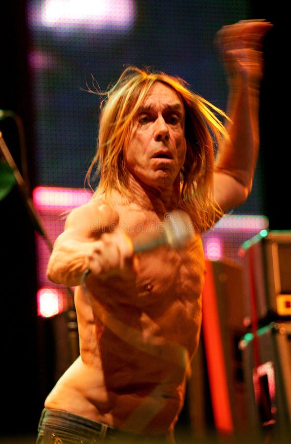 Iggy pop concert editorial stock image. Image of jamming - 6321799